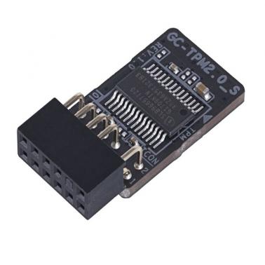 Gigabyte TPM 2.0 Module Small Pitch with LPC Bus (Intel 300/C246/C621 ...