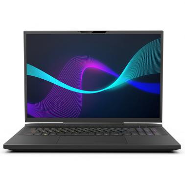 Infinity 17.3in WQXGA 240Hz i9-14900HX RTX 4080 1TB SSD 32GB RAM W11H ...