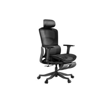 Autofull HBADA P2 Pro+ ergonomic chair With 2D Headrest & 3D Lumbar support (E216BVC)(Black ...